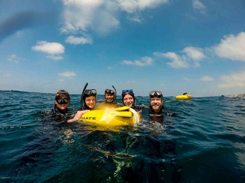 Dive California | San Diego Scuba & Freediving