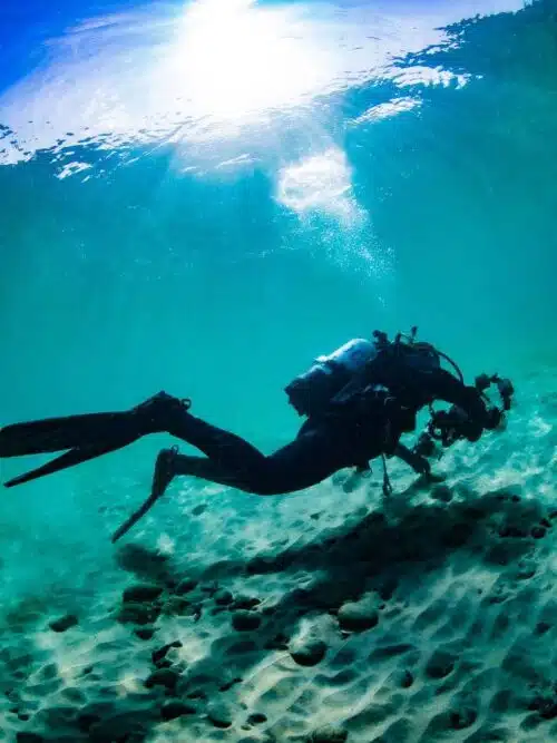 La Jolla Cove Scuba Diving: A Guide for Divers | Dive California