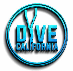 Dive California | San Diego Scuba Diving Tours and Freediving Courses