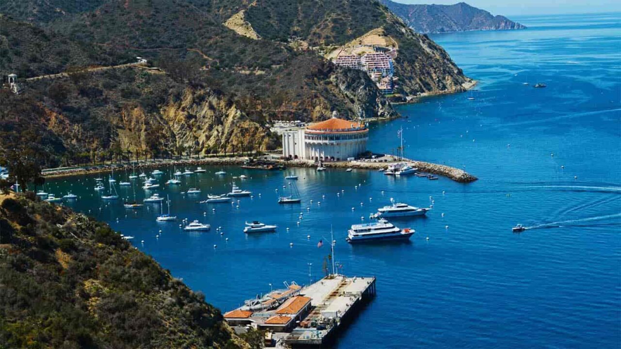 California Scuba Diving: Best Dive Spots