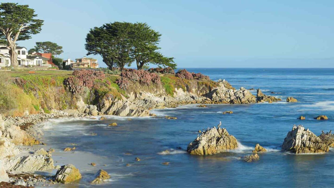 California Scuba Diving: Best Dive Spots